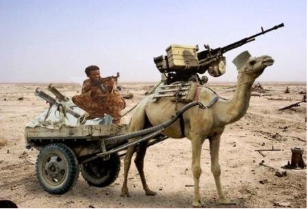 The Somali Dir Clan's History: Codka Beesha Direed: SAWIRO QURUX BADAN ...